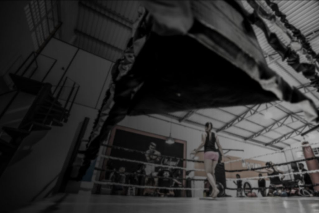 特集事例 | R force Fighting